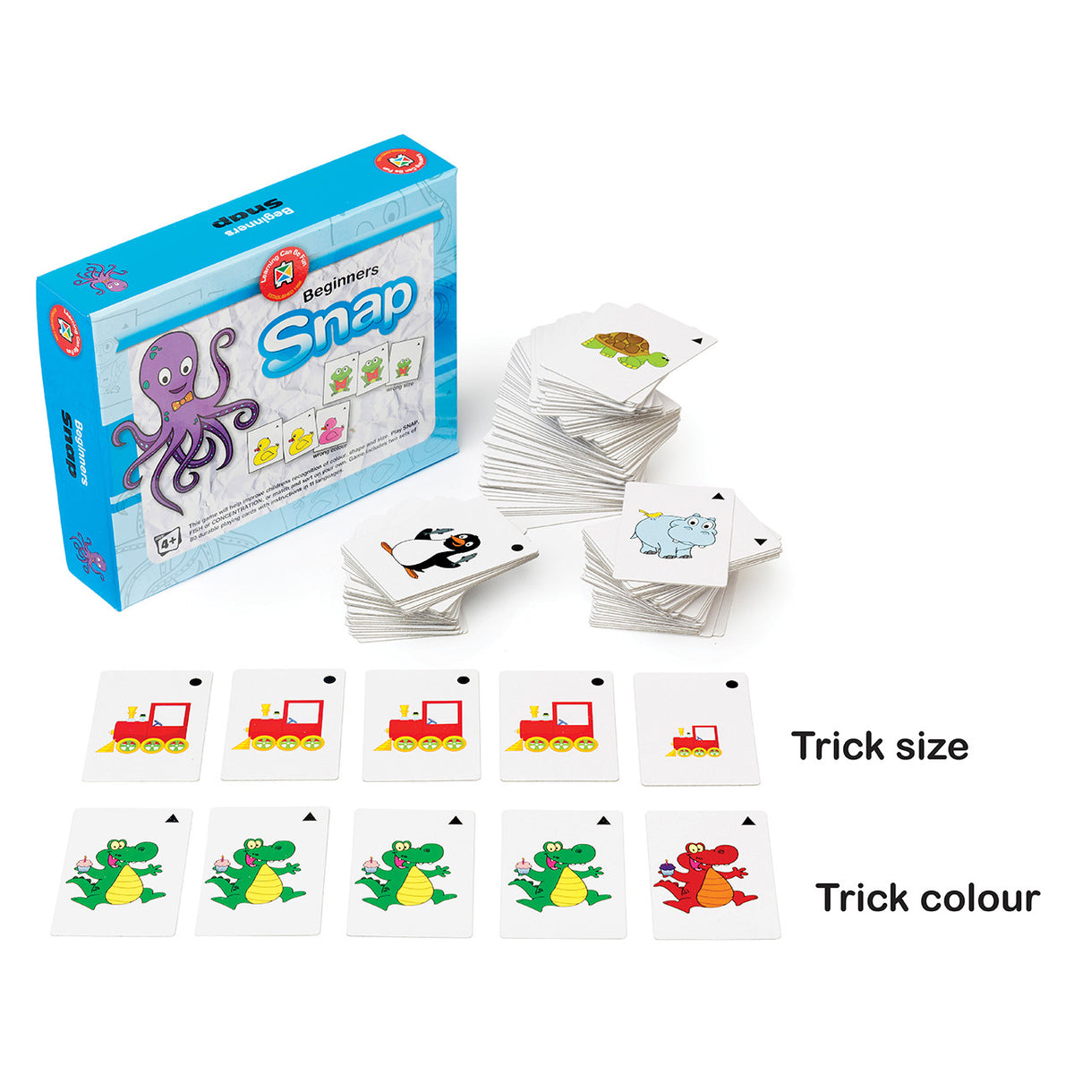 Snap For Beginners | Brain Spice