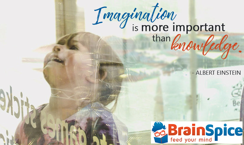 RPG Accessories | Brain Spice