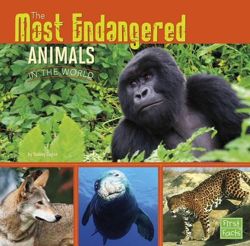 All About Animals - Worlds Most Endangered Animals | Brain Spice