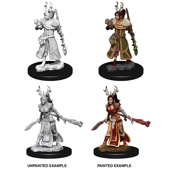 Female Human Druid - D&D Nolzurs Marvelous Unpainted Miniatures | Brain ...