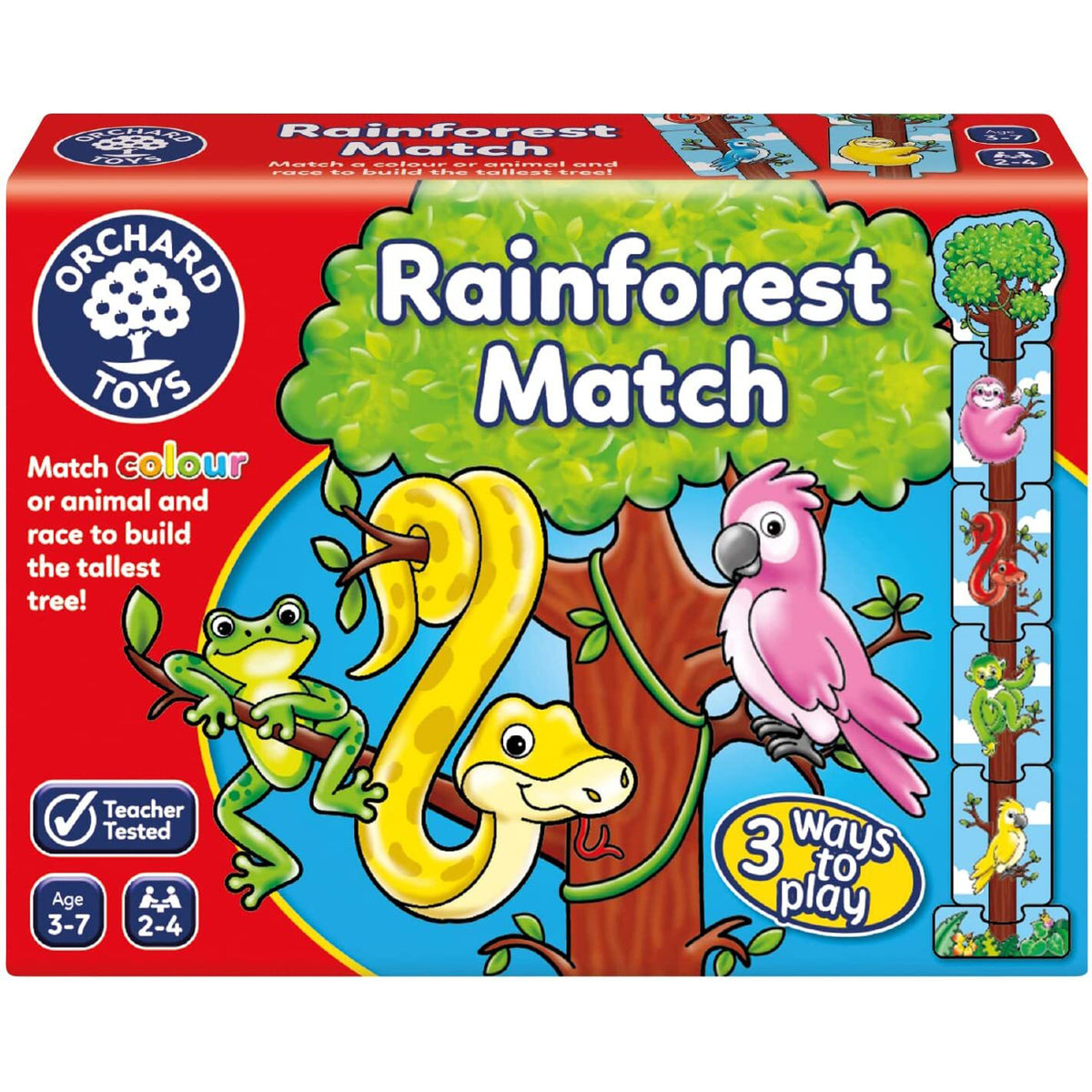 Rainforest Match – Brain Spice